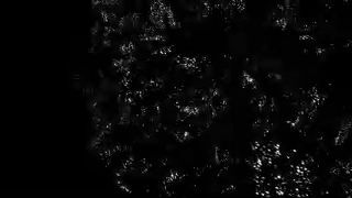 ParticleParty - Visual Lab